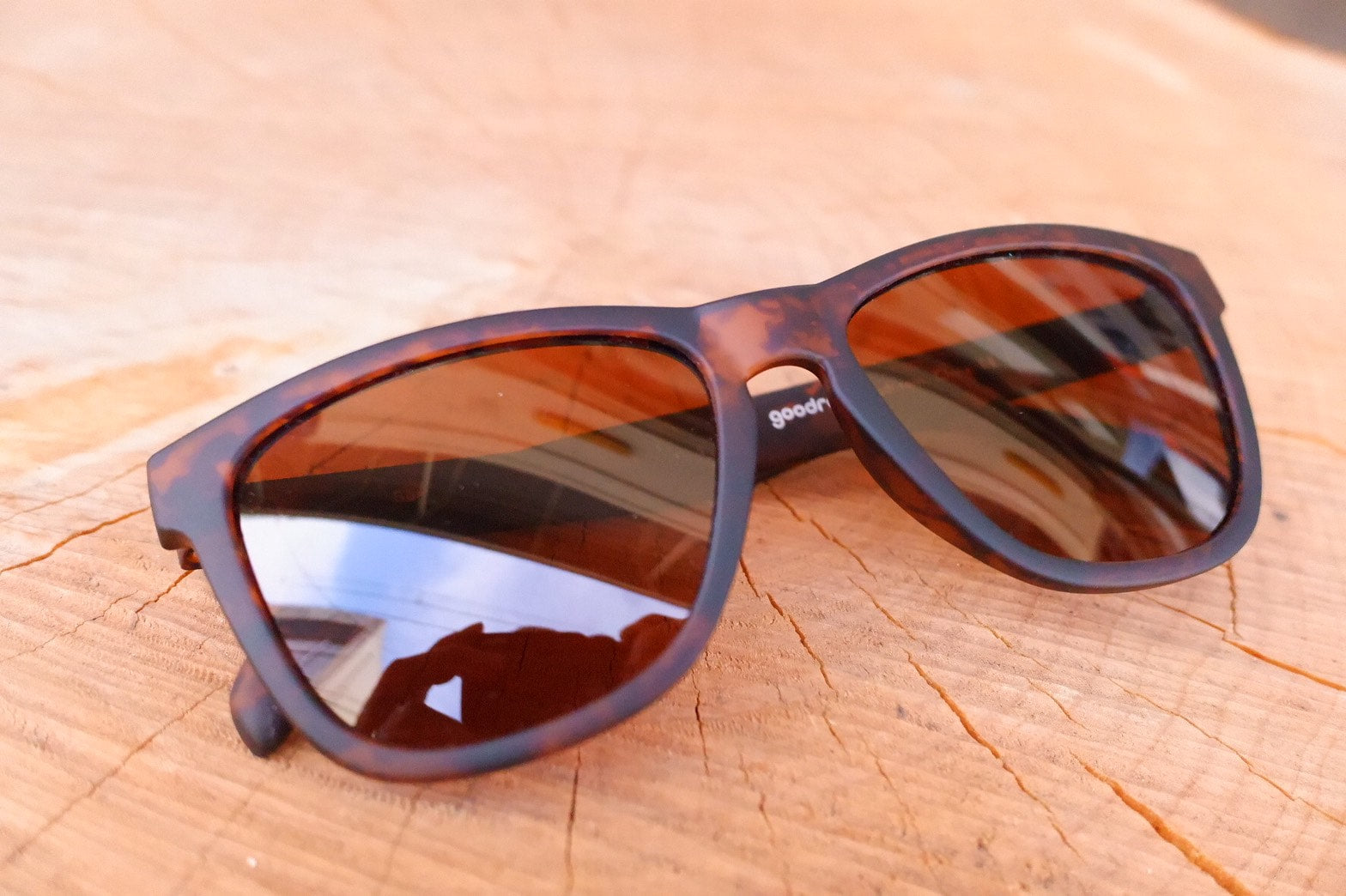 Bosley's Basset Hound Dreams【goodr】 – SANKAKU STAND