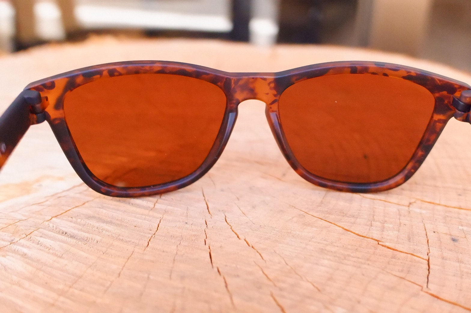 Bosley's Basset Hound Dreams【goodr】 – SANKAKU STAND